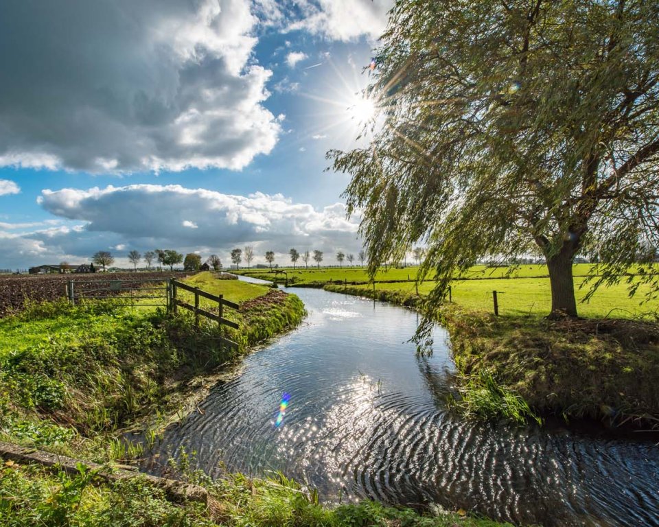Waterschap Rivierenland zet extra stappen voor schoon water ...